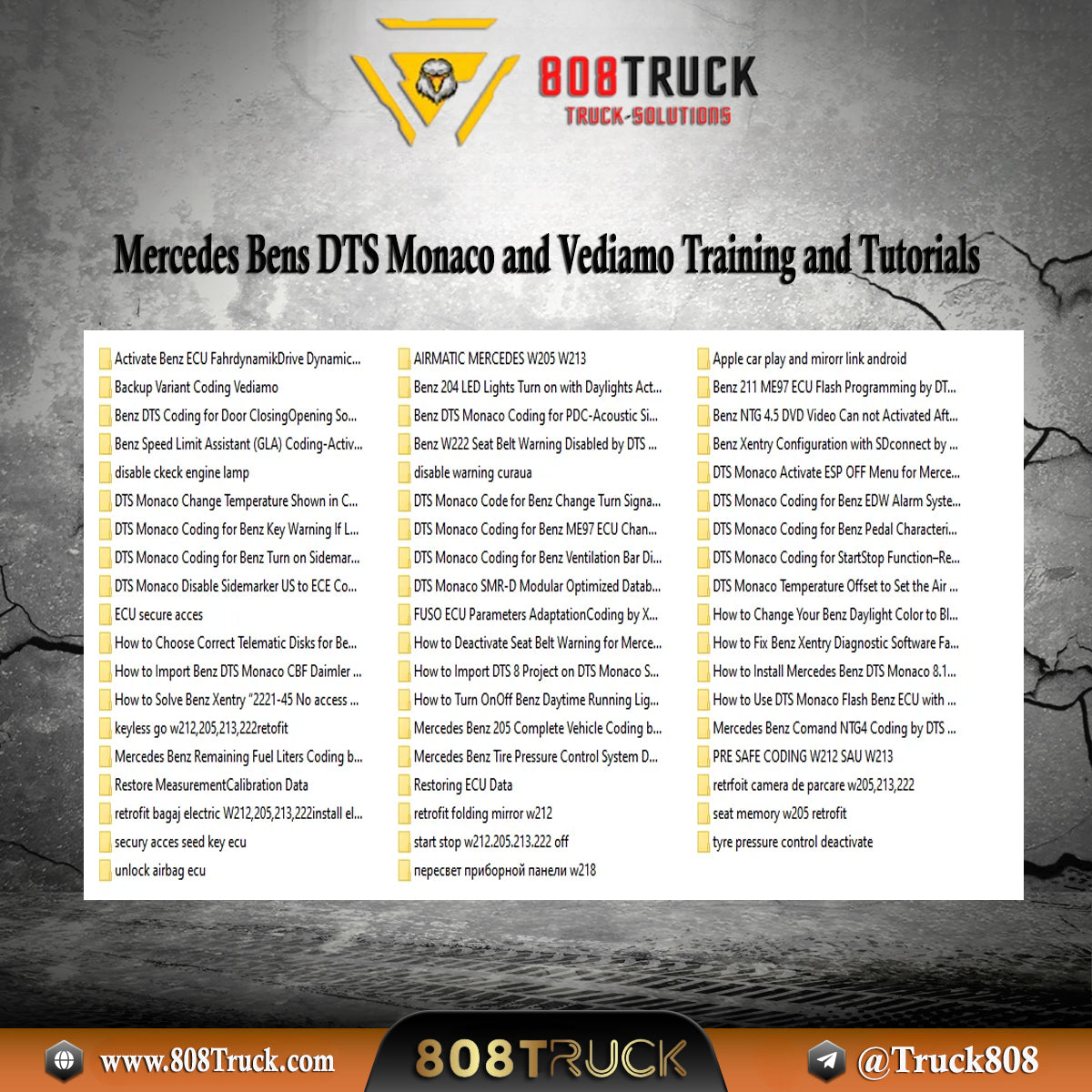 Mercedes Bens DTS Monaco and Vediamo Training and Tutorials guide ...